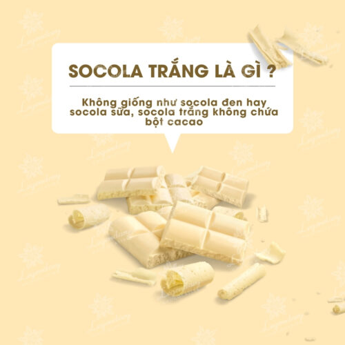 Socola Trắng Có Thực Sự Là "Socola" Không? - Legendary